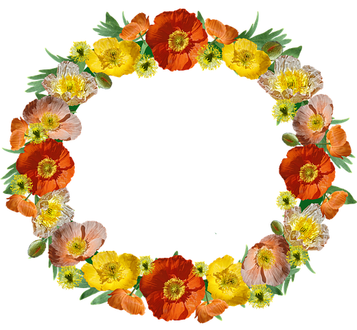 20+ Free Poppy Frame & Poppy Images - Pixabay
