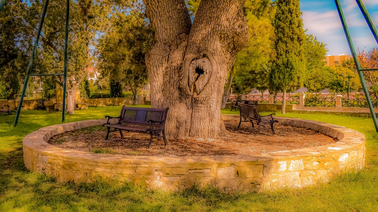 Benches Tree Park - Free photo on Pixabay - Pixabay