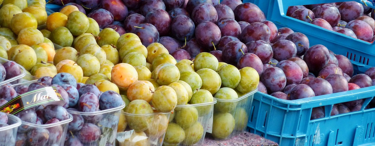 Ameixas Fruta Comida - Foto gratuita no Pixabay - Pixabay