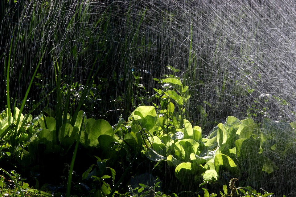 Water Splash Wet - Free photo on Pixabay - Pixabay