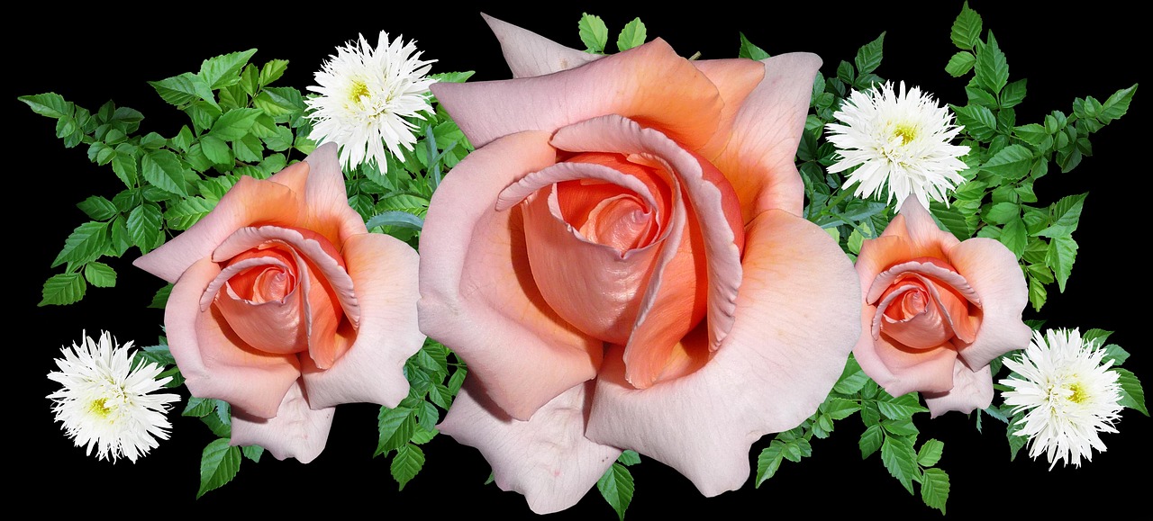 Flores Rosas Margaridas - Foto gratuita no Pixabay - Pixabay