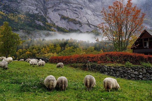 500+ gratis bilder av Norsk og Norge