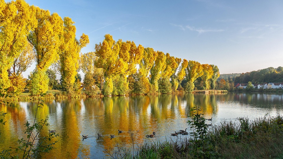 Flow Riverbank Landscape - Free photo on Pixabay