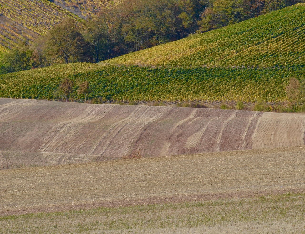 Des Champs Agriculture Paysage - Photo gratuite sur Pixabay - Pixabay