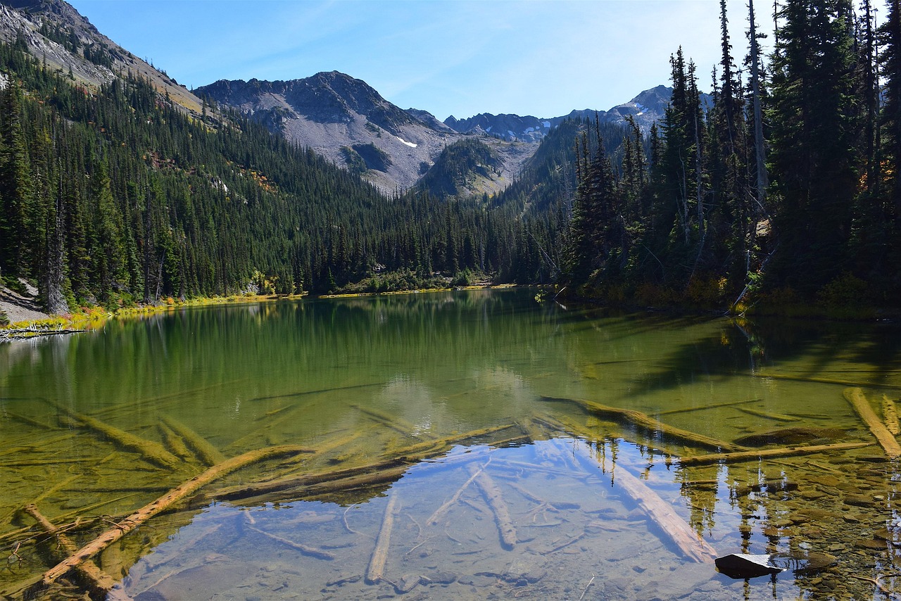 7,000+ Free Washington State & Nature Images - Pixabay