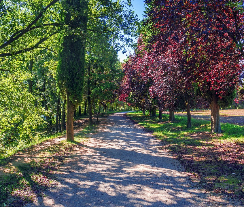 Path Nature Landscape - Free photo on Pixabay - Pixabay