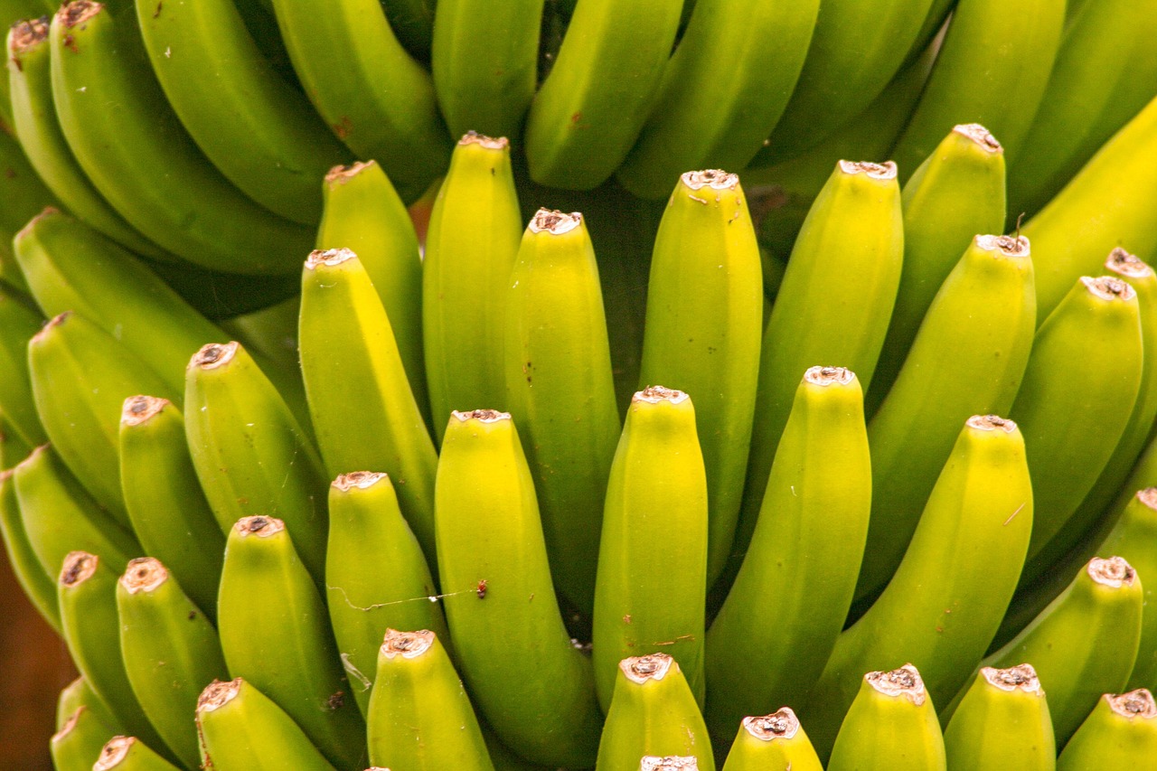 Plátano Fruta Comida - Foto gratis en Pixabay - Pixabay