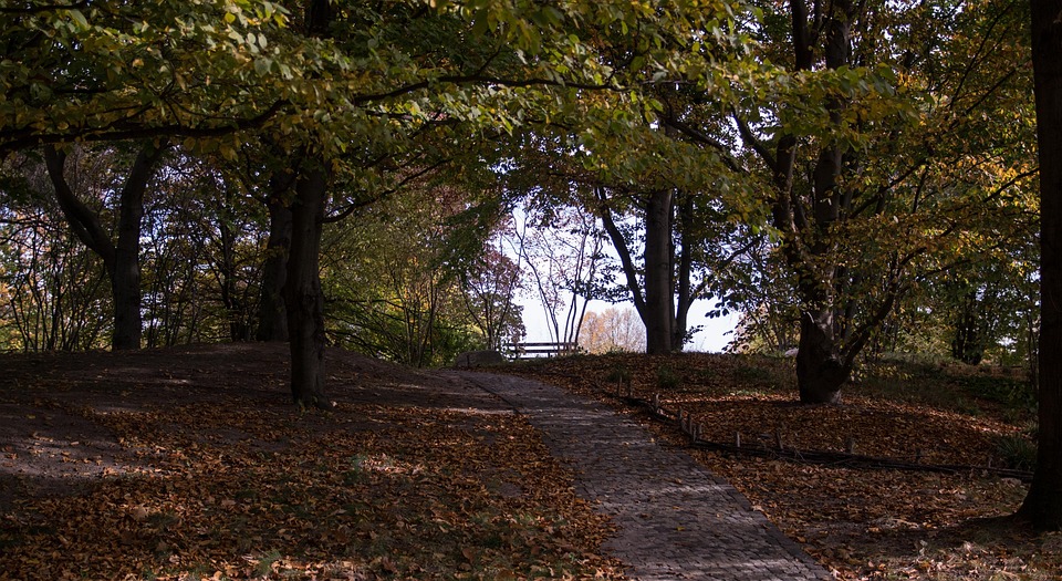 Fall Park Nature - Free photo on Pixabay - Pixabay
