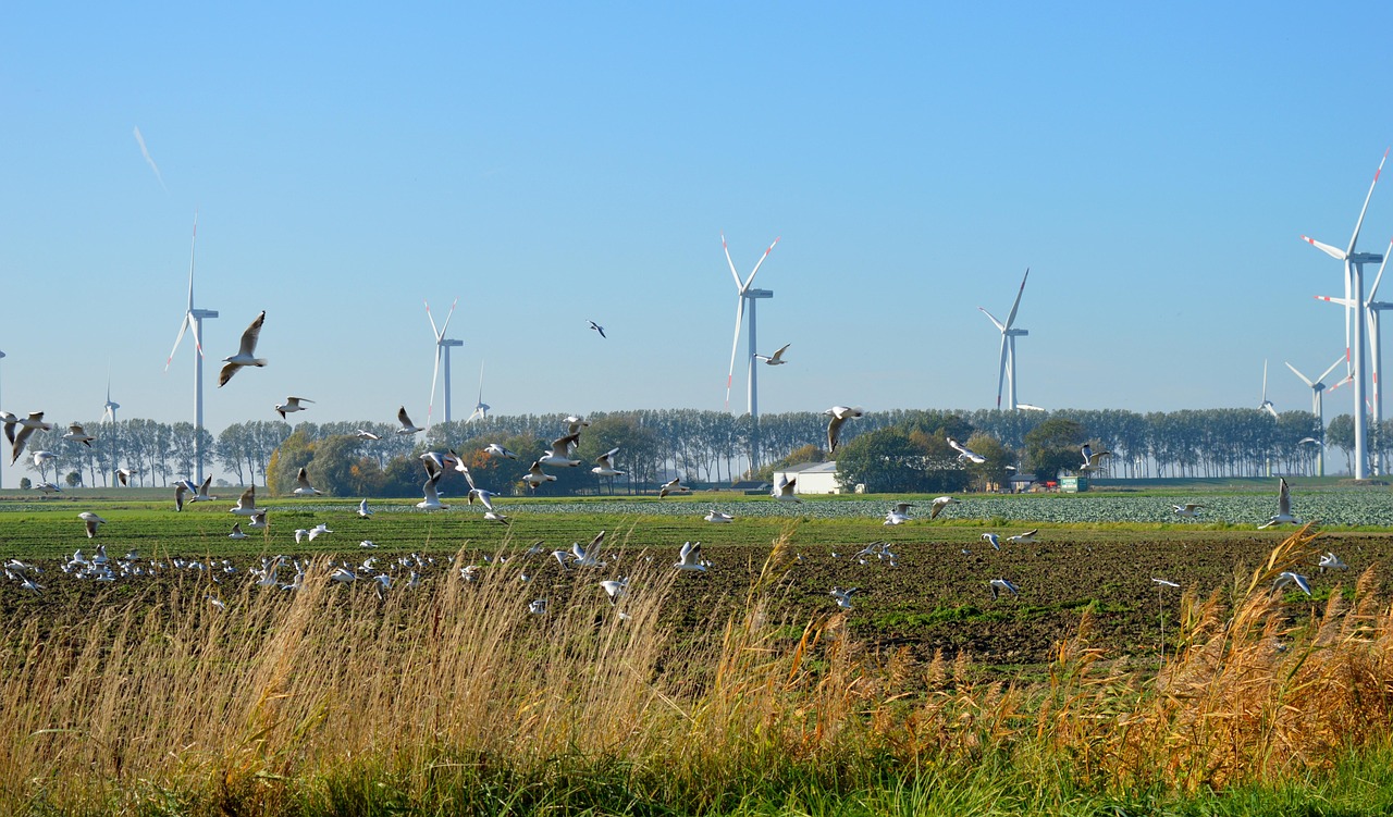 North German Landscape Field - Free photo on Pixabay