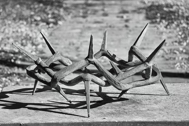 Crown Of Thorns Plastic Metal - Free photo on Pixabay - Pixabay
