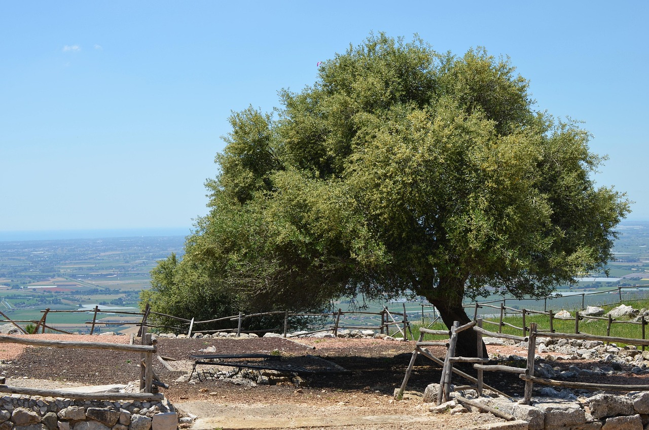 Vert Panorama Paysage - Photo gratuite sur Pixabay - Pixabay
