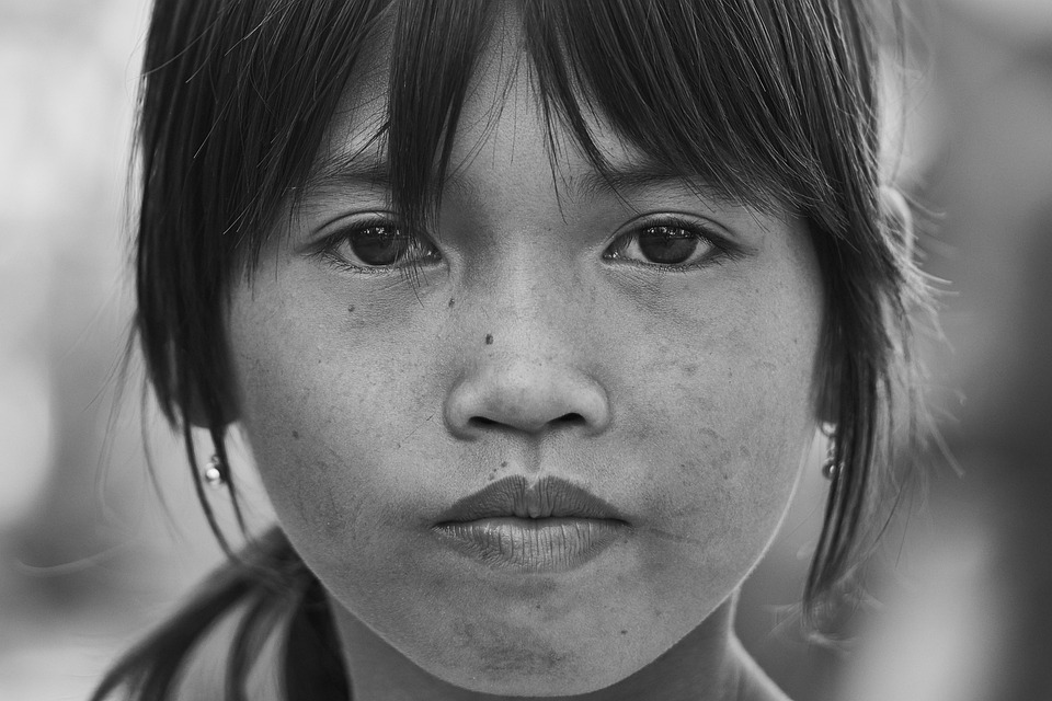 Orang Asia Melihat Dokumenter - Foto gratis di Pixabay