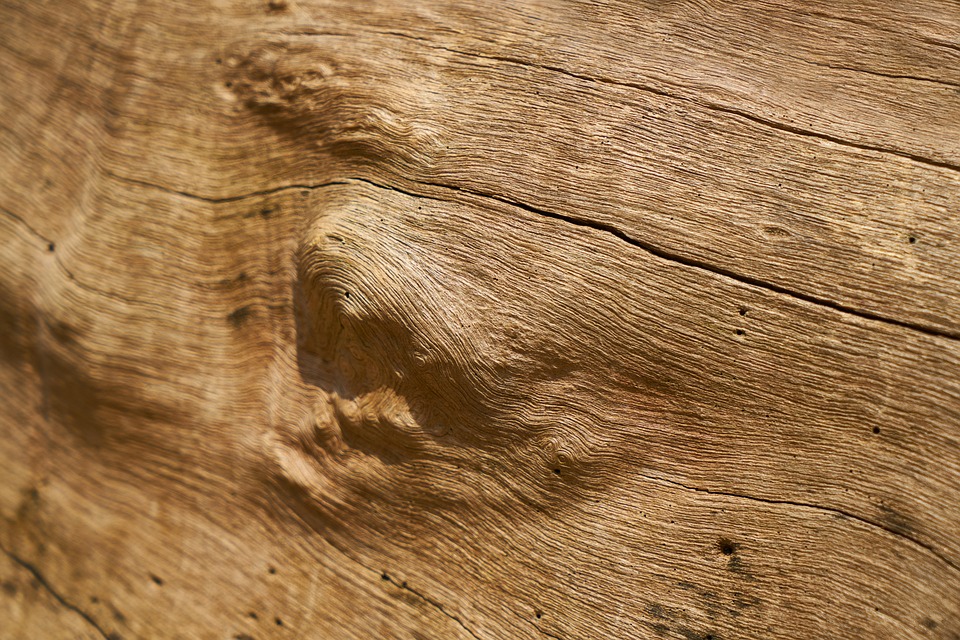 Wood Tree Wooden - Free photo on Pixabay - Pixabay