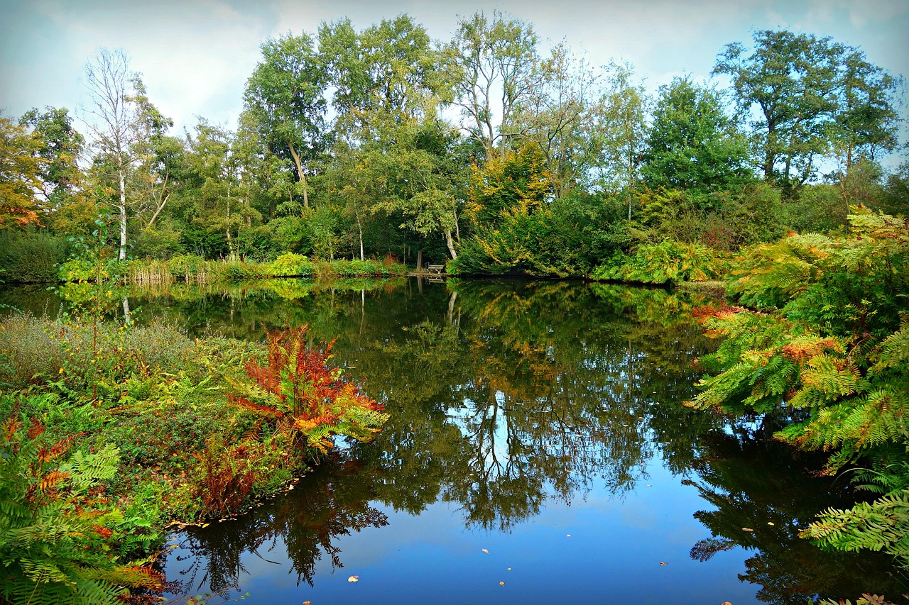 Étang L'Eau Banques - Photo gratuite sur Pixabay - Pixabay
