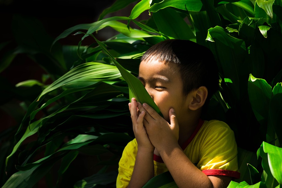 Child Leaf - Free photo on Pixabay - Pixabay