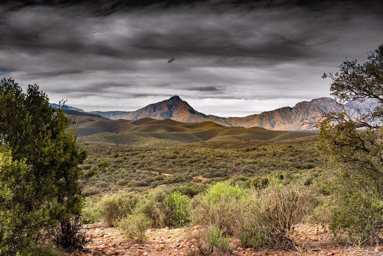 1.000+ kostenlose Savanne und Afrika-Bilder - Pixabay