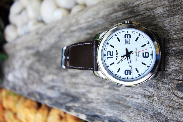 10,000+ Free Mens Watch & Wrist Watch Images - Pixabay