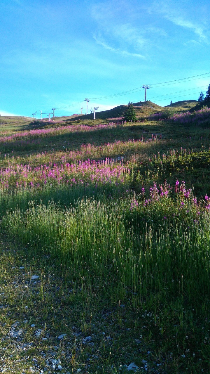 30+ Free Belle Nature & Nature Images - Pixabay