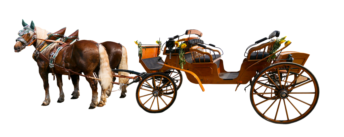 100+ kostenlose Pferdekutsche & Kutsche Fotos - Pixabay