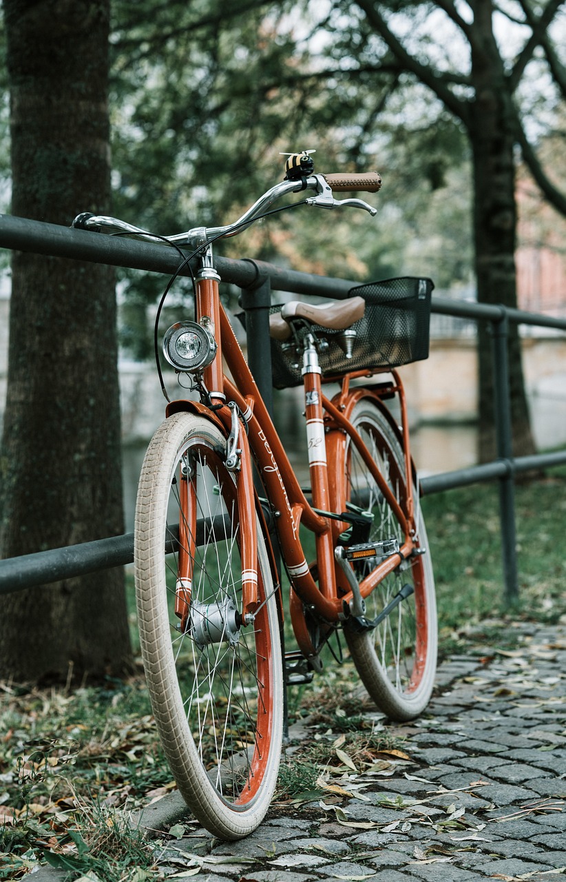 Bicycle Means Of Transport Traffic - Free photo on Pixabay - Pixabay