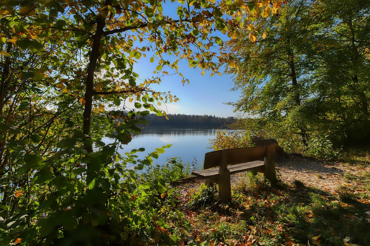 Bank Quiet Nature - Free photo on Pixabay - Pixabay