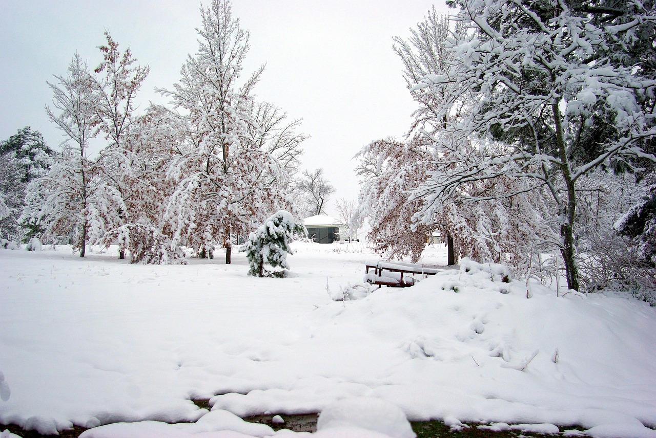 200+ Free Arkansas & Nature Images - Pixabay