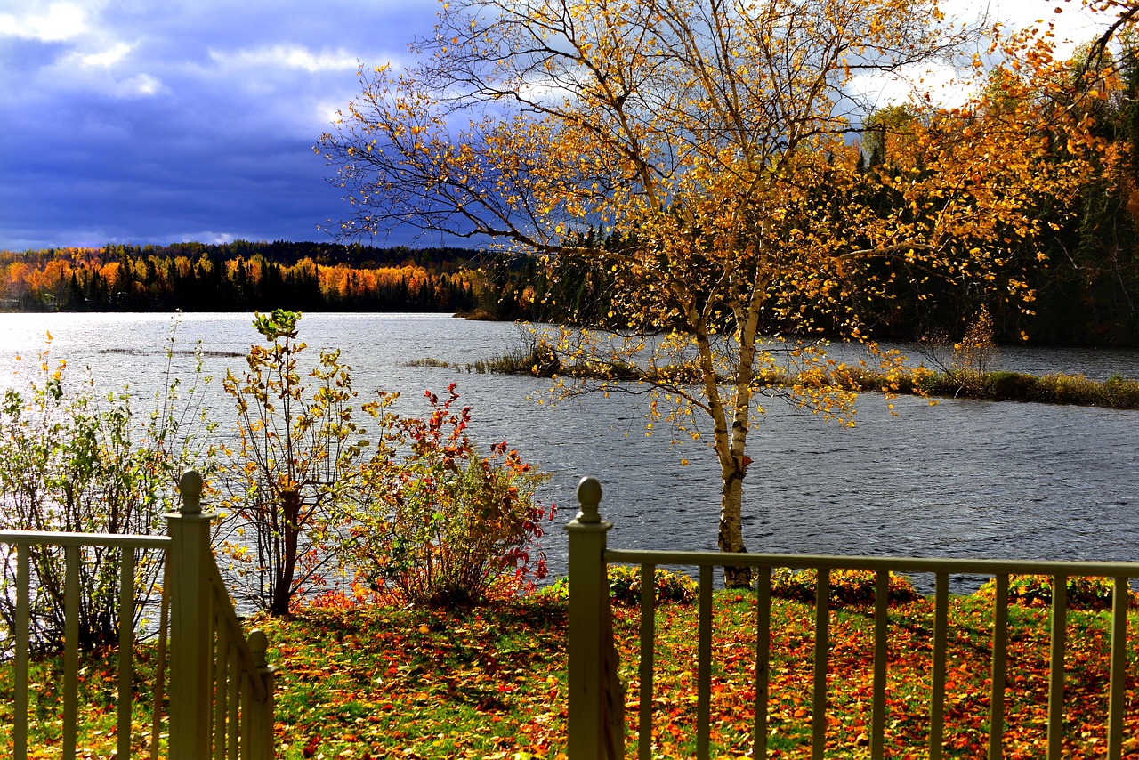 Landscape Fall Nature - Free photo on Pixabay - Pixabay