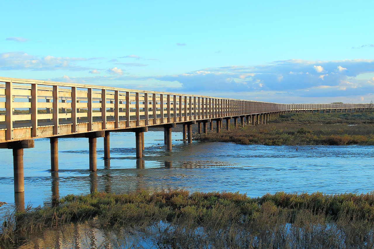 Bridge Drink The Water - Free photo on Pixabay - Pixabay