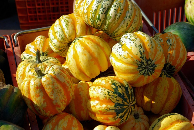Farmers Market Striped Gourds - Free photo on Pixabay - Pixabay