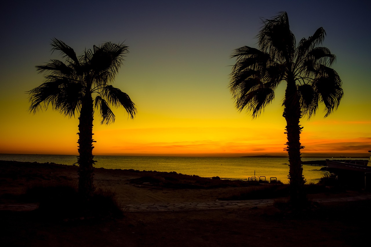 300,000+ Free Palm Trees Beach & Beach Images - Pixabay