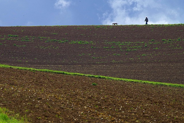 Field Fall Fields To - Free photo on Pixabay - Pixabay