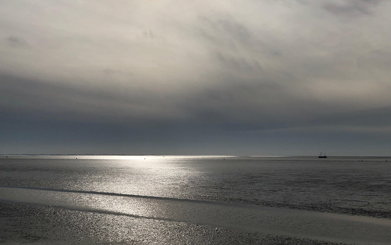 North Sea Wadden Coastal - Free photo on Pixabay - Pixabay
