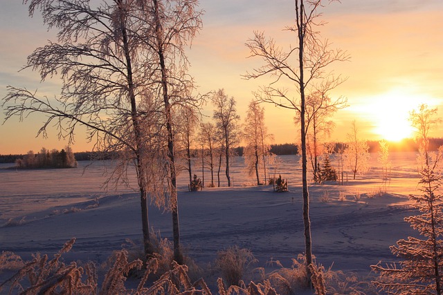 Cold Snowy Lapland - Free photo on Pixabay - Pixabay