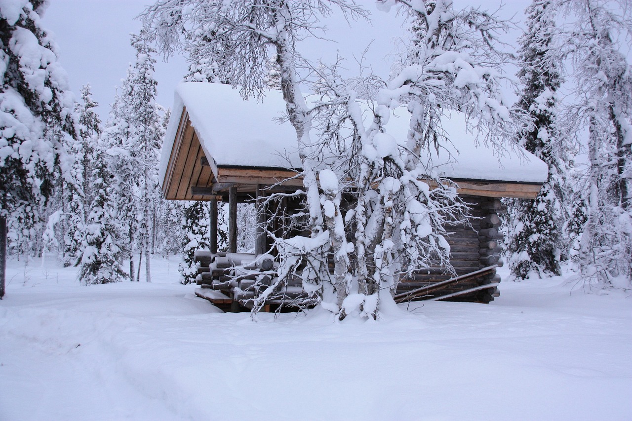 500+ Free Lapland & Finland Images - Pixabay