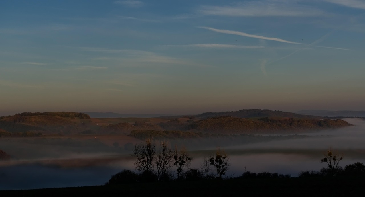 Landscape Fog Nature - Free photo on Pixabay - Pixabay