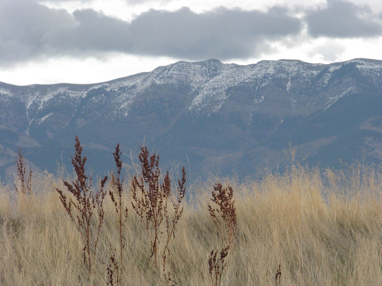 Field Mountain Rocky Mountains - Free photo on Pixabay - Pixabay