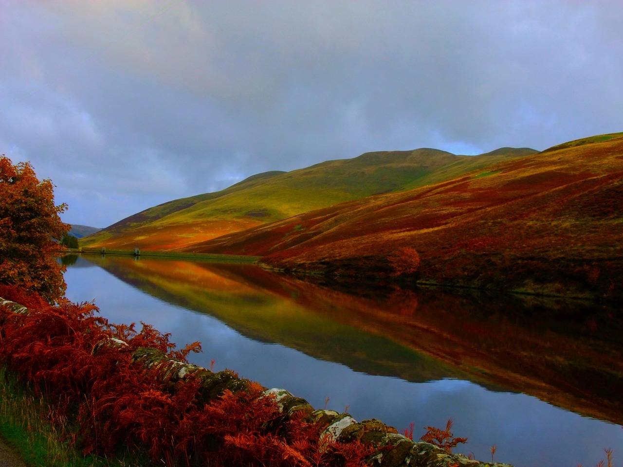 700+ Free Pagan & Heather Images - Pixabay