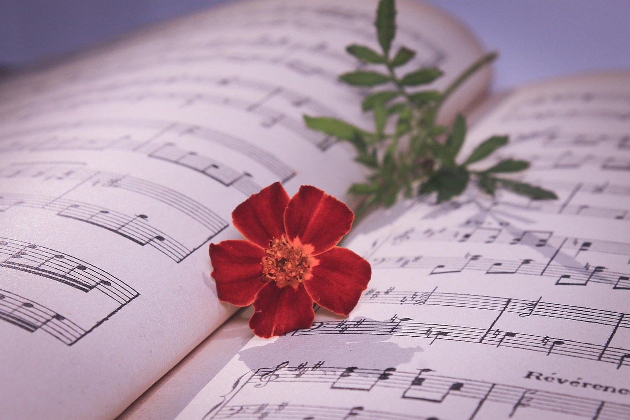 Musical Note Red Rose - Free photo on Pixabay - Pixabay