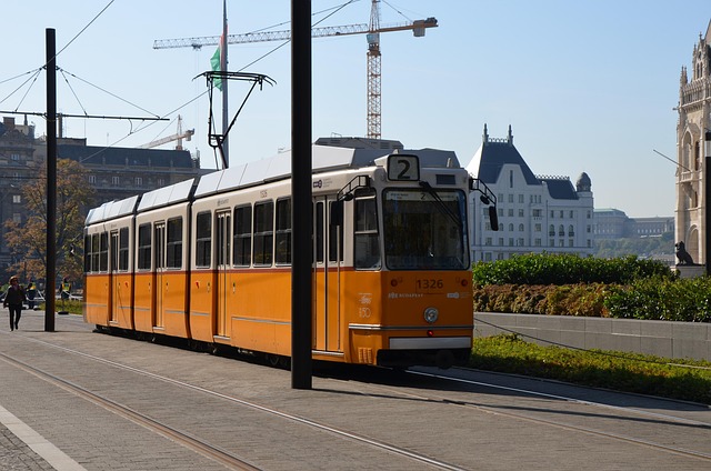 2,000+ Free Hoa Trầm Tích & Tram Images - Pixabay