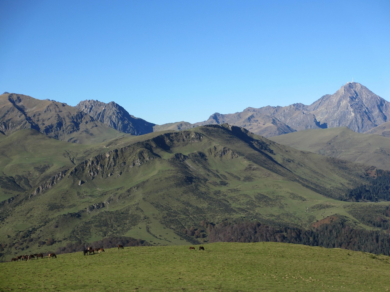 10,000+ Free Pasture & Nature Images - Pixabay