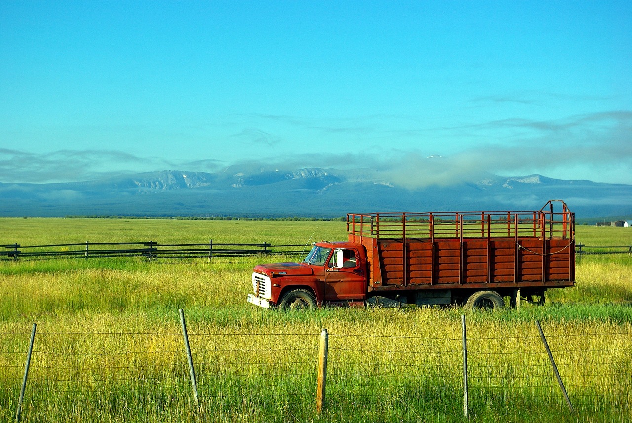 800+ Free Old Truck & Truck Images - Pixabay