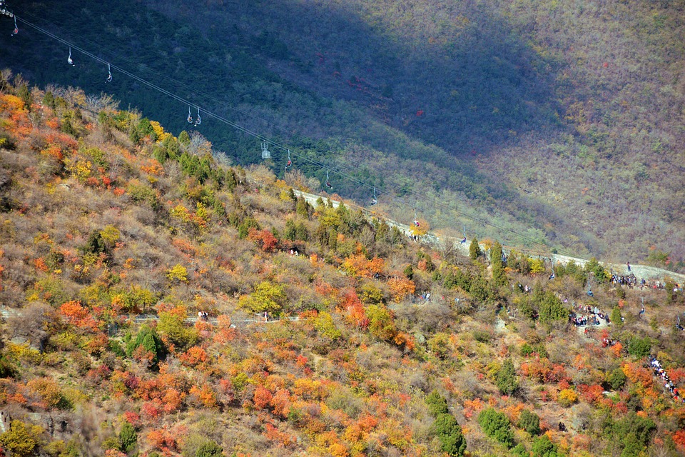 Autumn Beijing Fragrant Hill - Pixabay上的免费照片