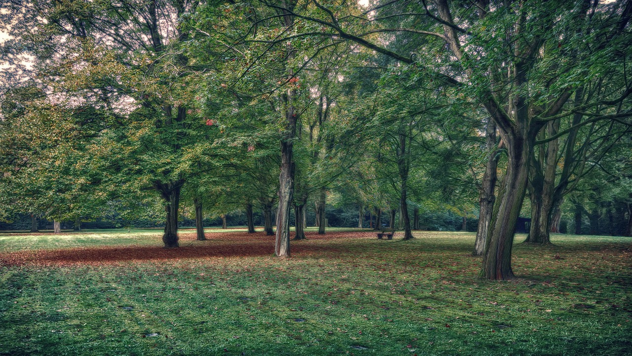 Parque Parklandschaft Naturaleza - Foto gratis en Pixabay