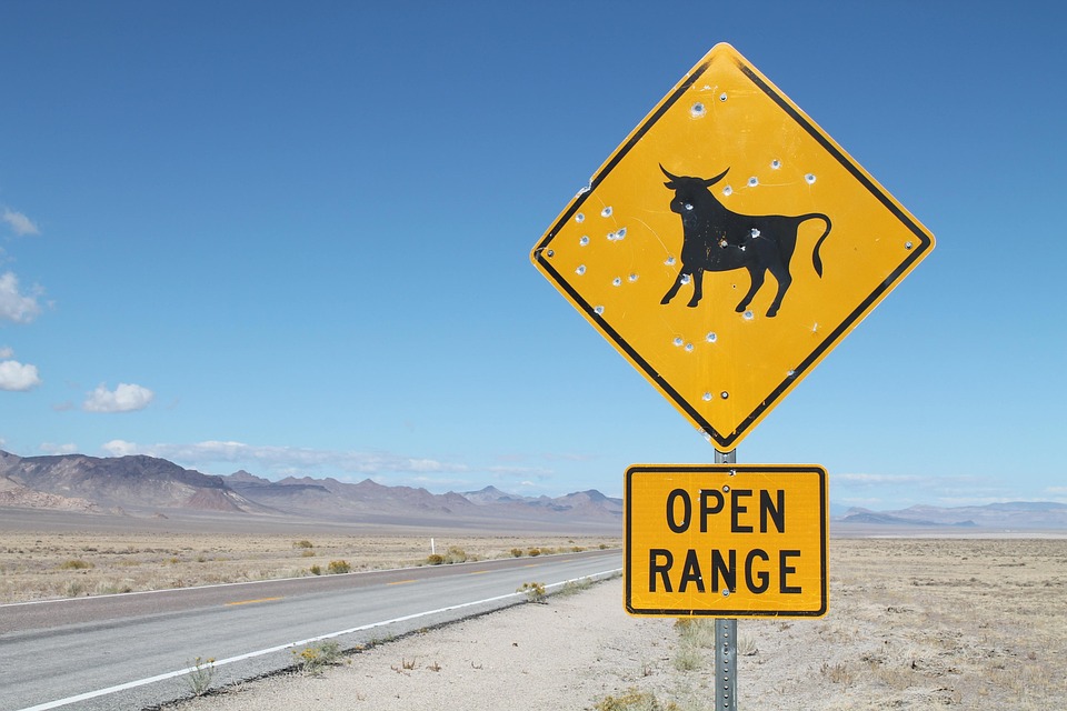 Road Sign Cattle Free Photo On Pixabay Road Sign Cattle Free Photo On Pixabay