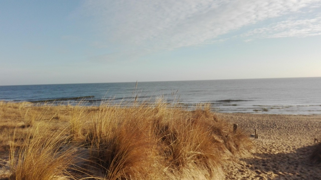 Dunes De Sable Mer Baltique Plage - Photo gratuite sur Pixabay - Pixabay