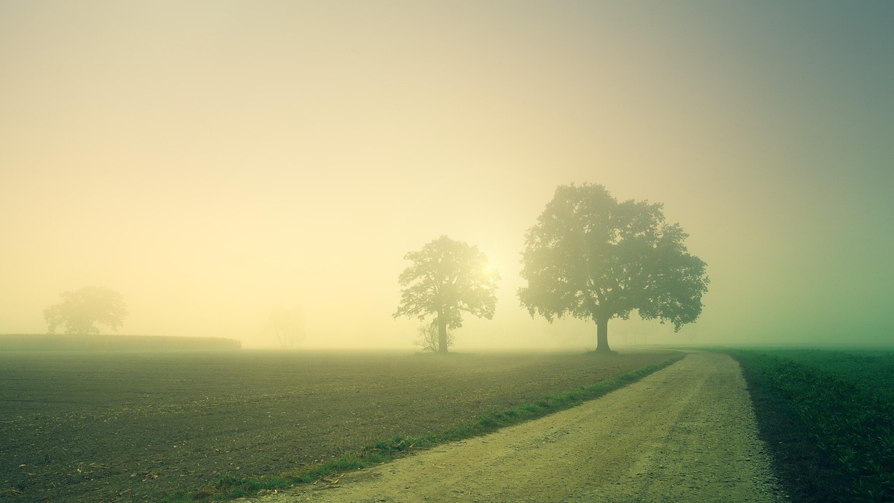 100,000+ Free Dawn & Sunrise Images - Pixabay