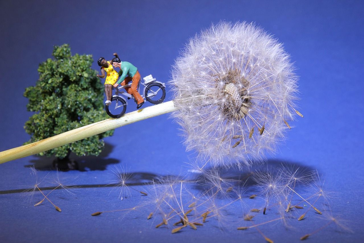 Dandelion Cycle Miniature Figures - Free photo on Pixabay - Pixabay