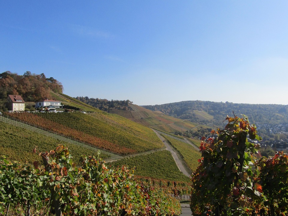 Vignoble Paysage Panorama Des - Photo gratuite sur Pixabay