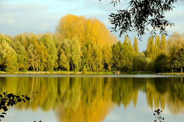 Pond Lake Wooded - Free photo on Pixabay