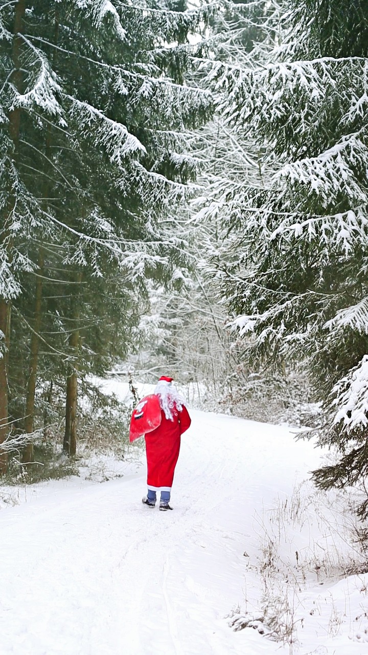 40,000+ Free Santa In The Forest & Christmas Images - Pixabay